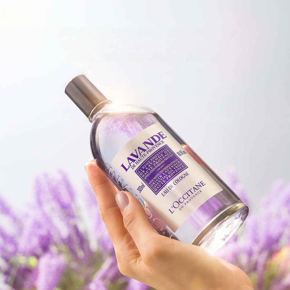 NIB L'Occitane En Provence Lavanda Perfume Eau de Cologne Floral Fragance 300 ml | eBay