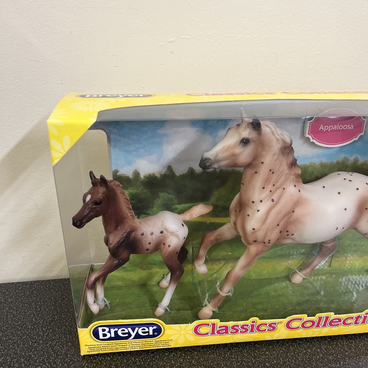 Leopard Appaloosa Foal