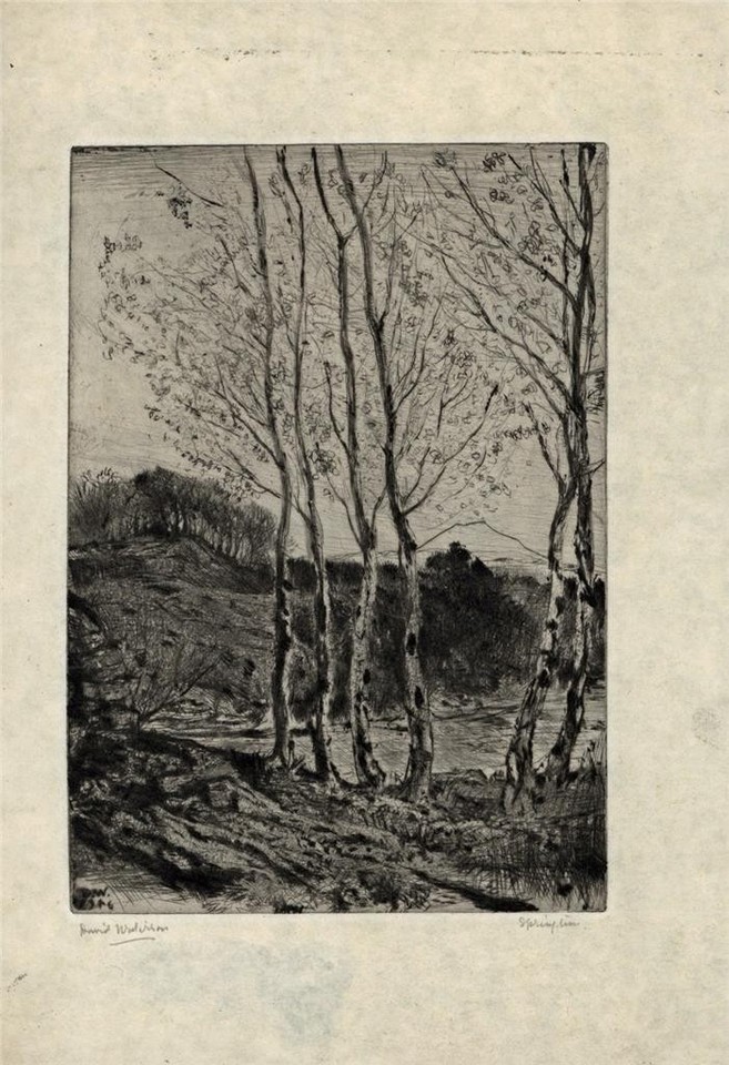 David Waterson Pencil Signed Etching Springtime | eBay UK