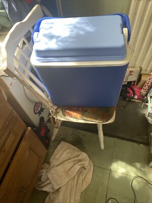 Large 24 Litre Cooler Box Camping Beach Lunch Picnic Insulated Food Ice ...