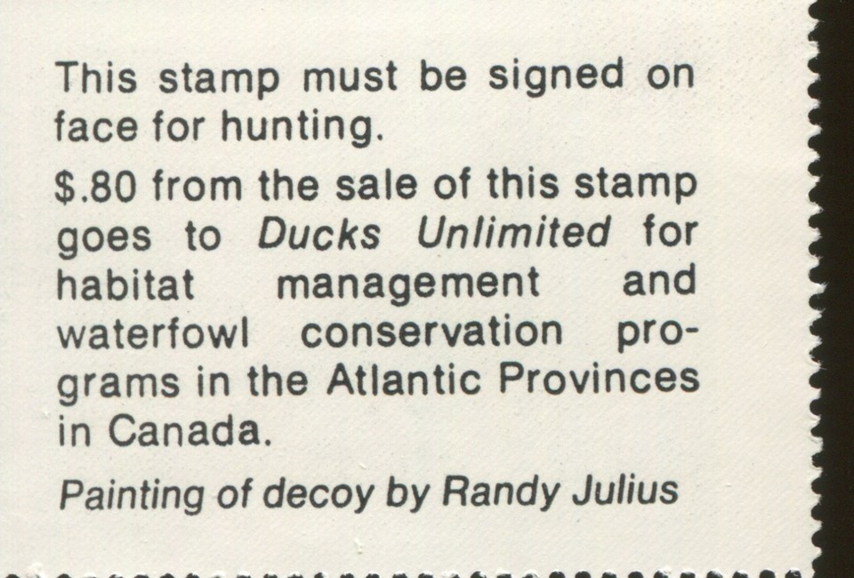 MASSACHUSETTS #6 1979 STATE DUCK RUDDY TURNSTONE DECOY by Randy Julius ...