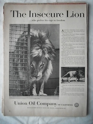 1959 VTG Orig Magazine Ad UNION OIL The Insecure lion Who Prefers His ...