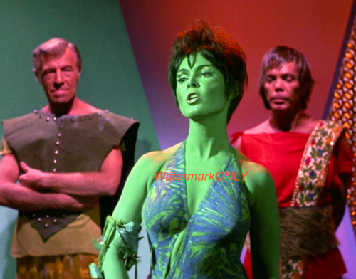 Gorgeous Actress Yvonne Craig '60's TV "Bat Girl" SEXY HOT "Pin-Up" PHOTO! #73c | eBay