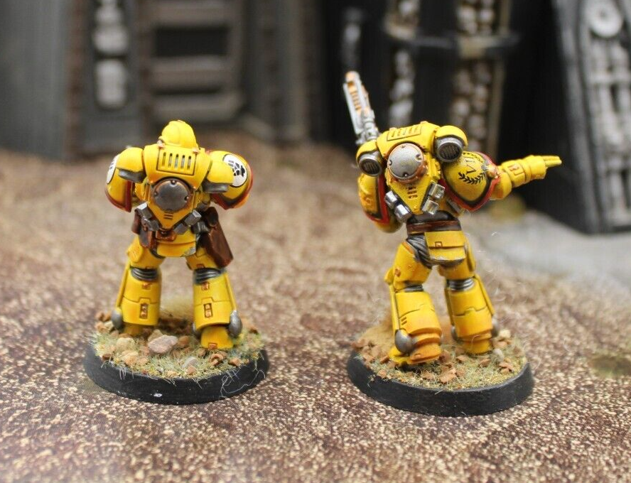 5x Imperial Fists Intercessors, Studio Painted, ID#1651 | eBay