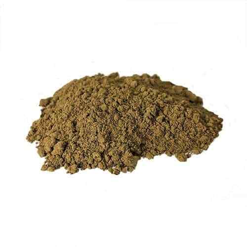 Ajuga Turkest Extract 100 grams | eBay Australia