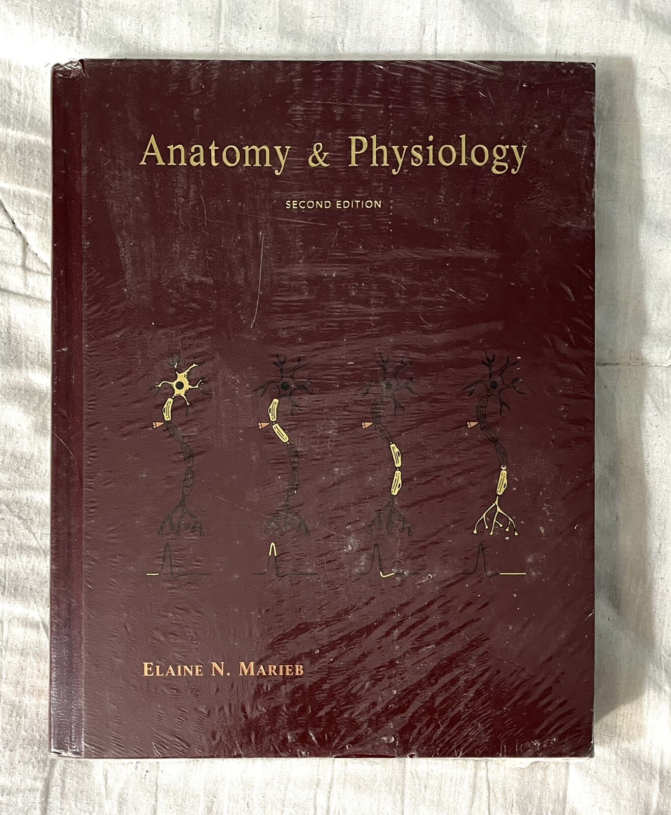 New In Factory Wrap ~Anatomy & Physiology 2nd Edition w/ CDs. Marieb HB ...