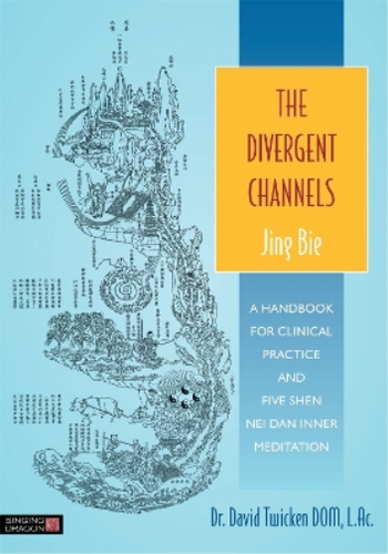 David Twicken The Divergent Channels - Jing Bie (Poche) 9781848191891 ...
