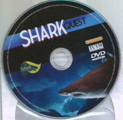 Shark Quest (DVD) - **DISC ONLY** | eBay