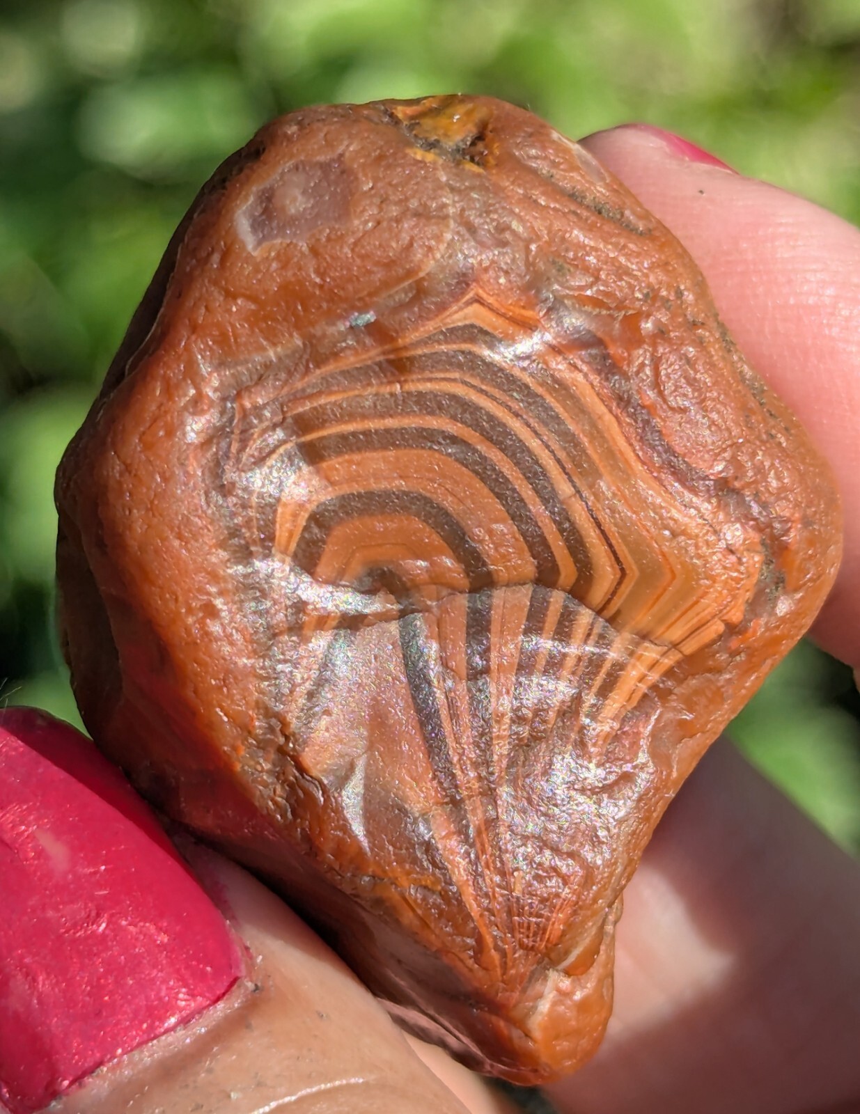 Lake Superior Agate 1.38 Oz Paint Agate With Dark Bands | eBay