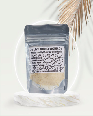 BUY 2 GET 1 FREE Live Micro worm Starter Culture Guppy Betta killfish ...