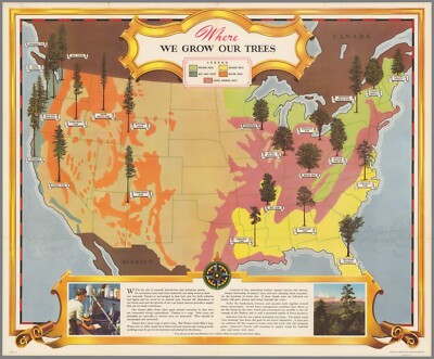 12375.Decor Poster.Vintage Interior wall design.U.S map.Where we grow ...