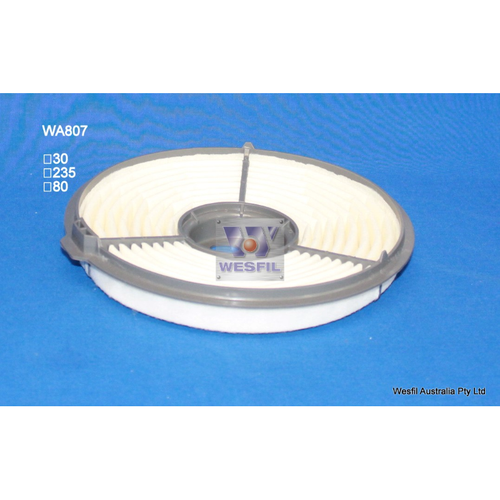 Wesfil Cooper Air Filter Wa807 A457 suits Holden | eBay Australia