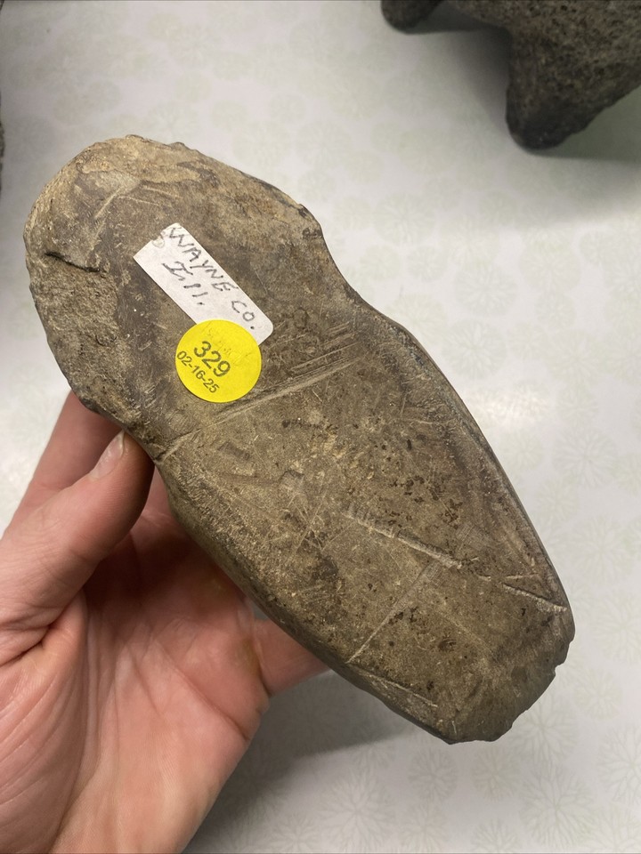 MLC s6221 Banded Slate Stone Half Grooved Adz Axe Wayne Co Illinois ...