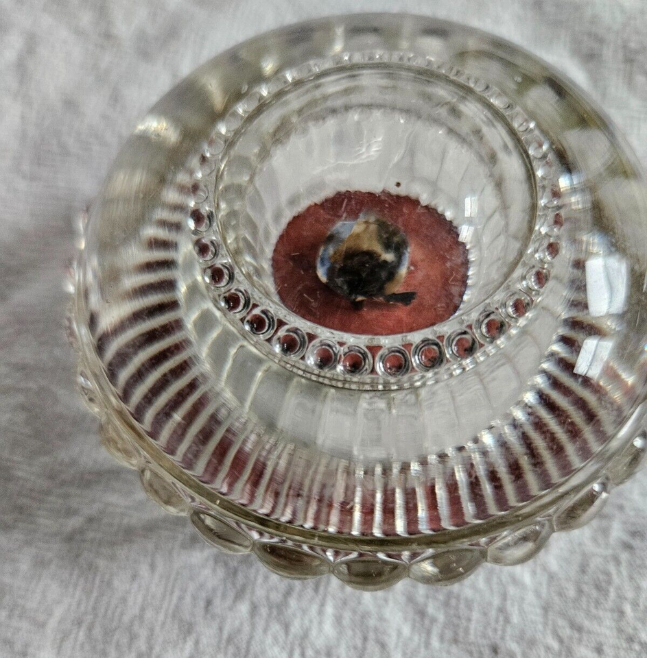 RARE 1800's Antique Gillinder Glass Turtle Paperweight - 1861 - 150 ...