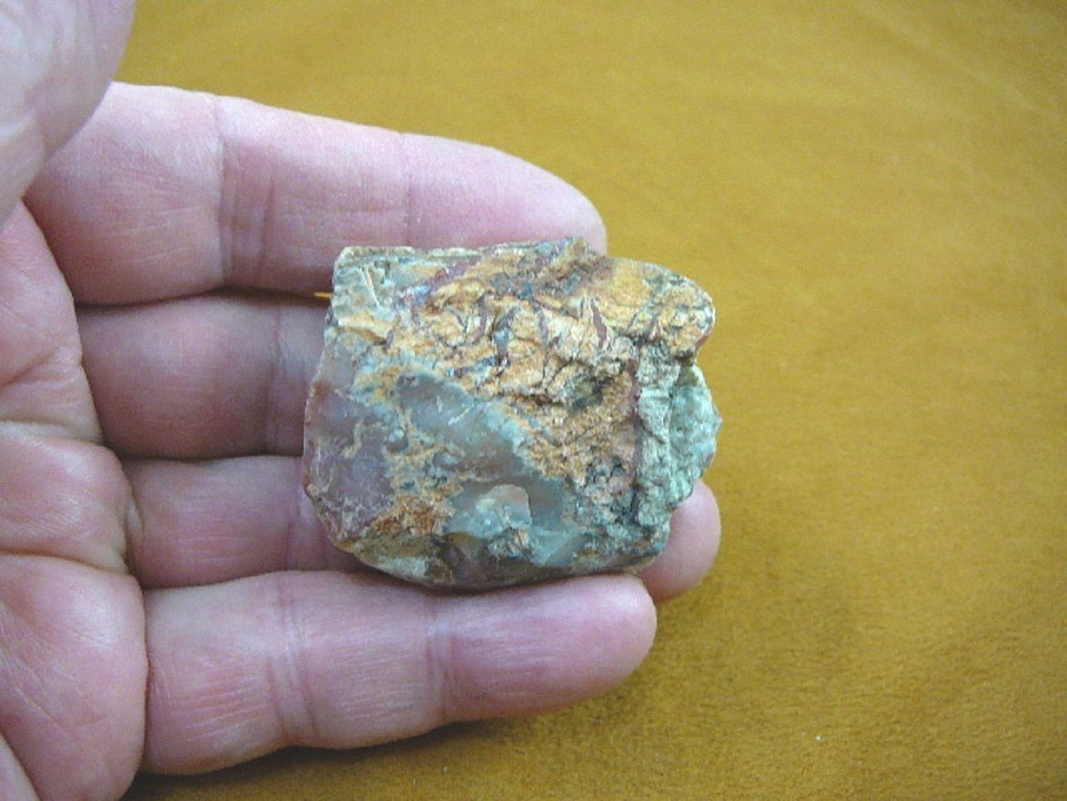 (DF601-35) 2 oz Fossil REAL DINOSAUR POOP Coprolite Dino Utah Jurassic ...