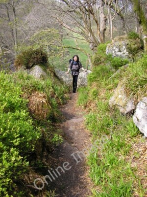 Photo 6x4 Woodland path beside Arkle Beck Whaw Two stone slabs form a ...