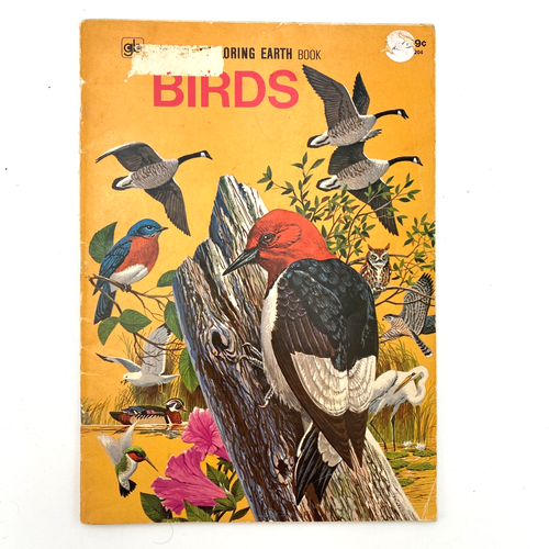 Vintage 1973 Golden Birds paperback Book | eBay