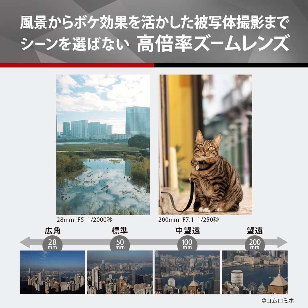 Panasonic High Magnification Zoom Lens L Mount LUMIX S 28-200mm F4-7.1 ...