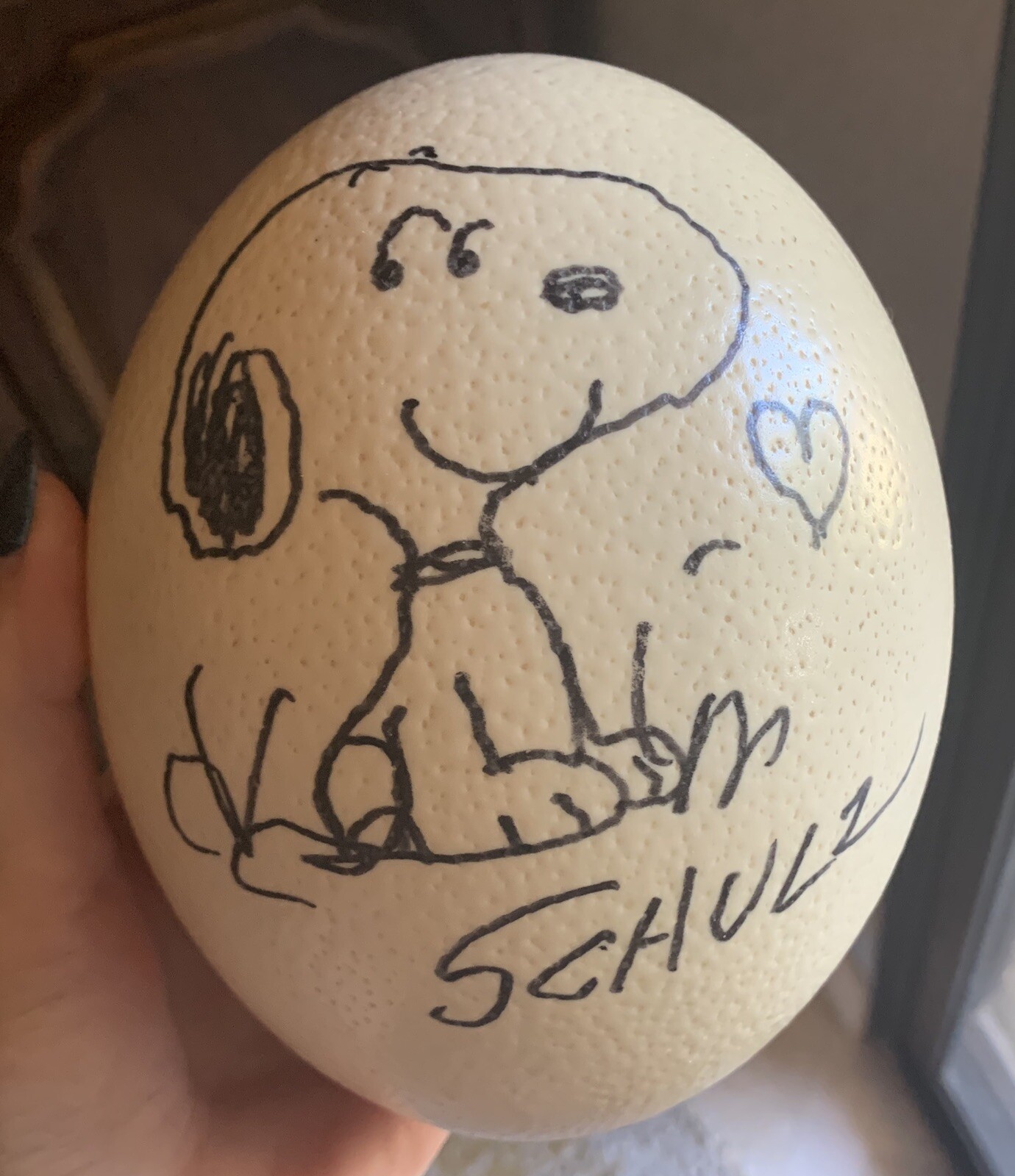 CHARLES SCHULZ Hand Signed Autographed Ostrich Egg - SNOOPY - PEANUTS ...