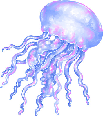 Autoaufkleber Sticker Qualle Tier Aufkleber | eBay.de