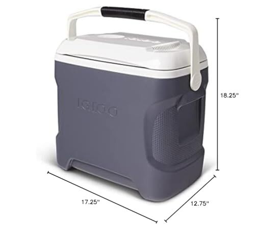 Portable Electric Coolers, 12v Cooler, Iceless Plug in Cooler ...