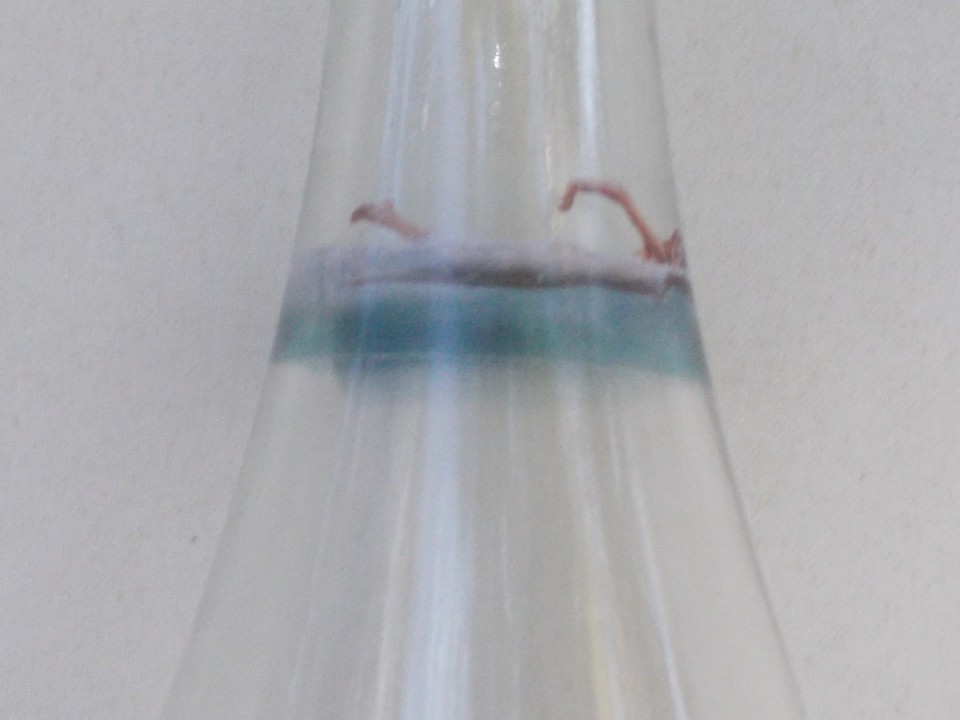 Jaws 50th Anniversary Tropical Blue Wine Spritzer Universal City ...