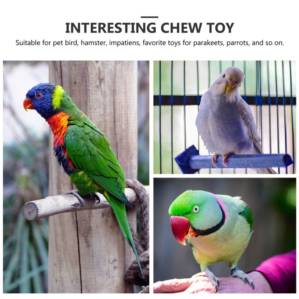 4pcs Parrot Chewing Toy Parrot Teething Toy Birds Teeth Grinding ...