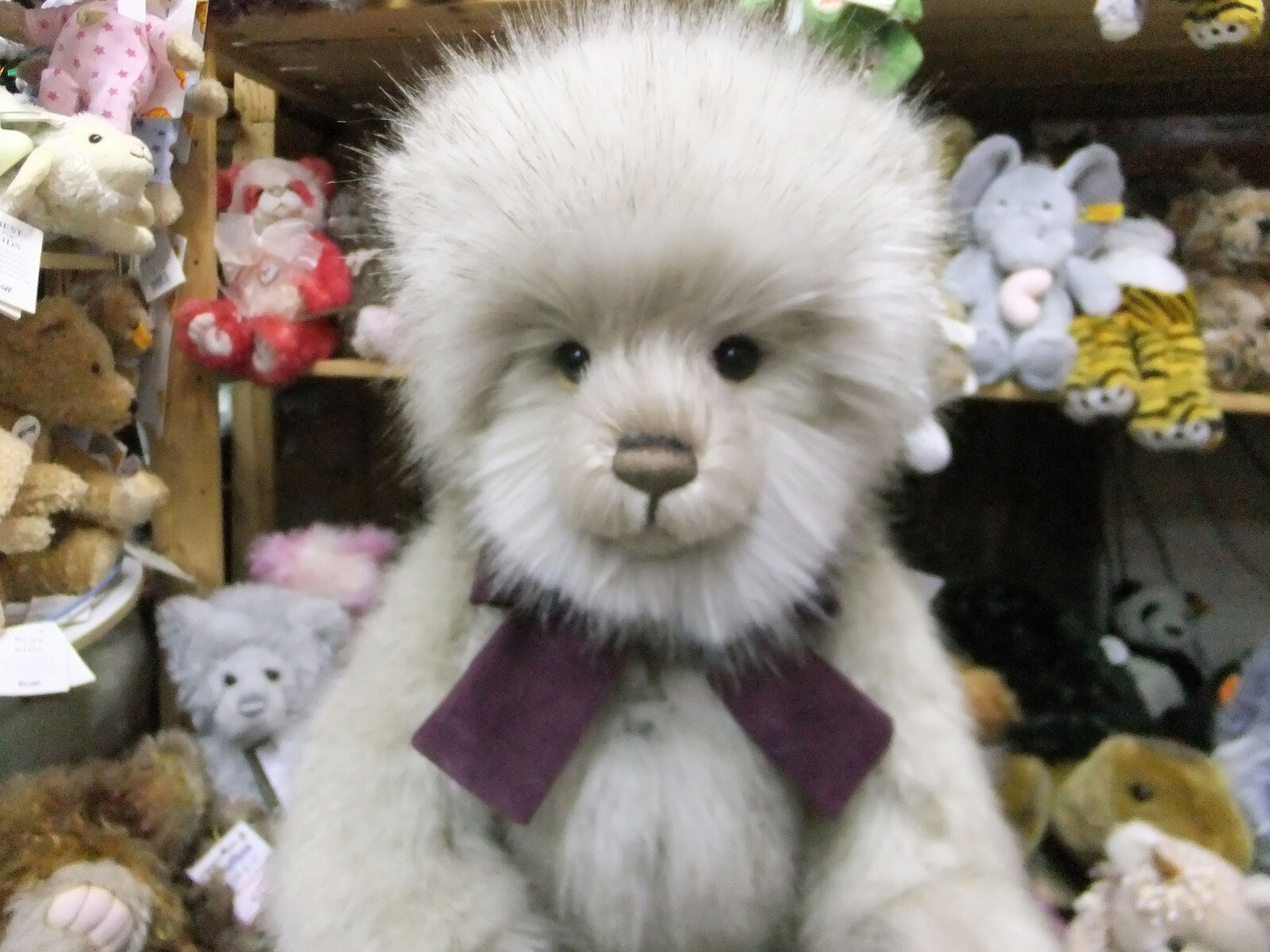 Clarey Pic No 5 By Charlie Bears CB212119 | eBay UK