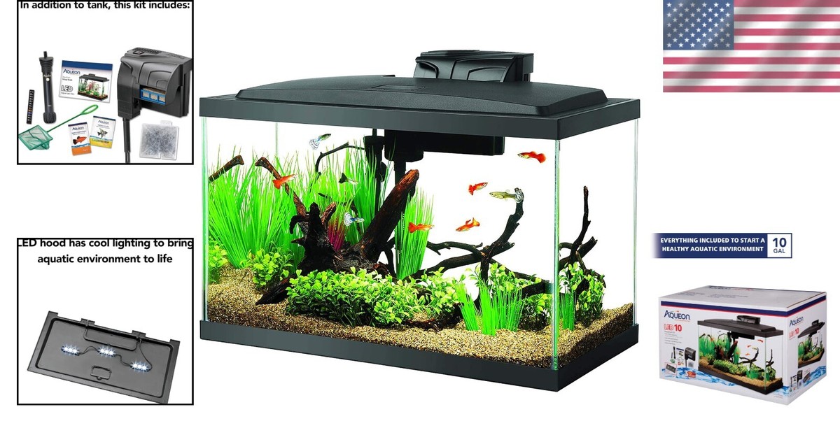10 Gallon Fish Tank Uk