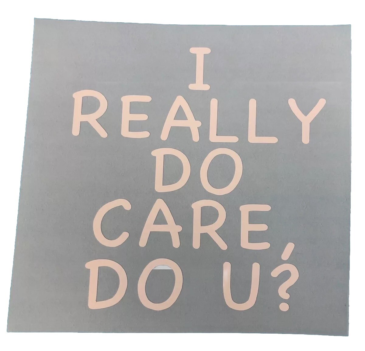 I REALLY DO CARE DON’T U White Vinyl Decal Sticker Window Car ...