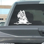 Peeking Cane Corso Dog Decal Truck Car Window Laptop Door Stickers 22 ...