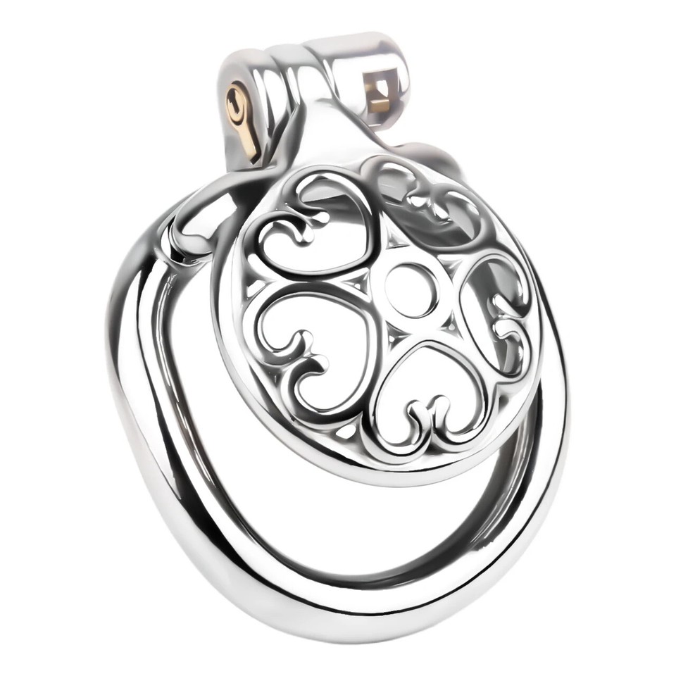 Male Chasity Cage Inverted Plug BDSM with Metal Tube Sissy Cages ...