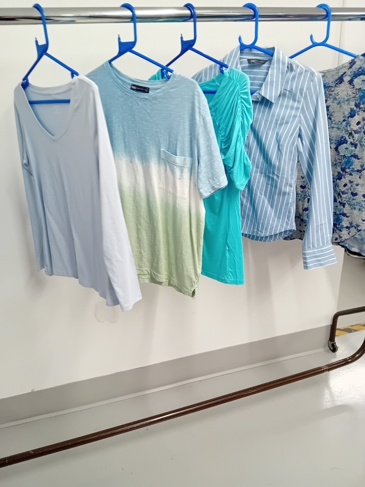 WOMEN'S TOPS BUNDLE x 20 sizes 6-18 inc. PHASE EIGHT BERKERTEX NEXT M&S ...