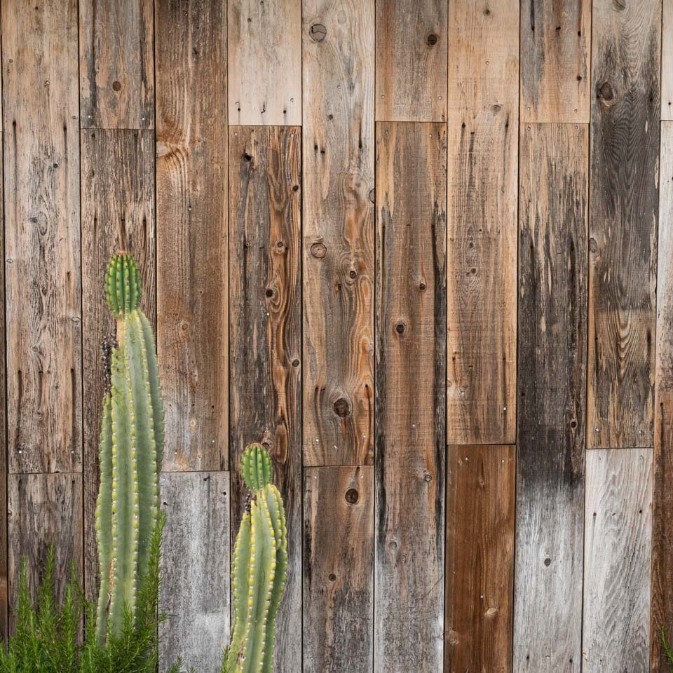 Rustic Plank Siding
