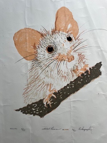 MALCOLM CAMERON AUSTRALIAN LITHOGRAPH "RASCAL MOUSE" LTD ED 1998 | eBay