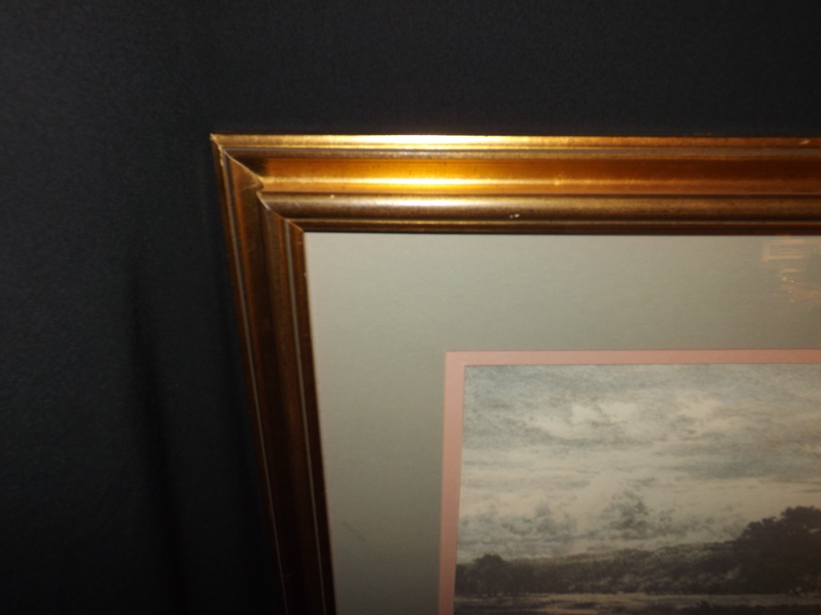 VINTAGE LARGE B. W. LEADER Print Professionally Gold Frame Matt GREEN ...
