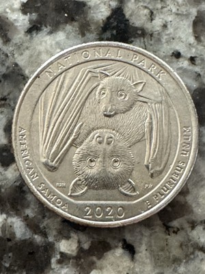 2020 D Bat Quarter Covid Error Strike Year | eBay