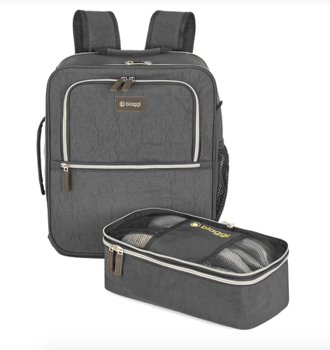 BIAGGI Carry Cube Backpack Gray Travel Vacation Cruise Preppy College | eBay