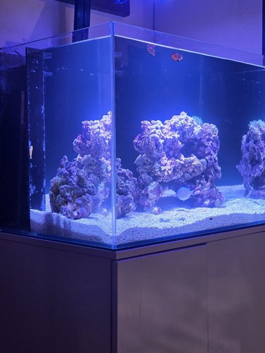Aqua one mini reef 120l (NO live stock) marine tank | eBay UK