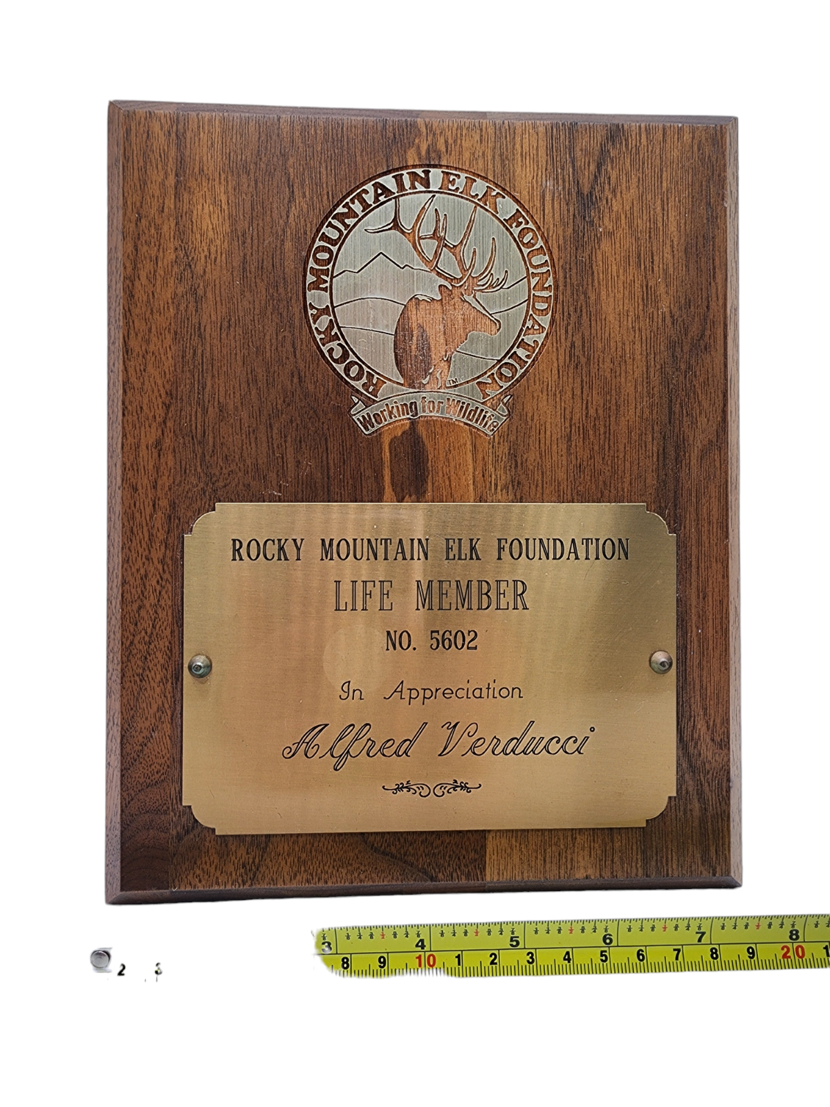 Rocky Mountain Elk Foundation Life Member Placard Plaque Wall Hanging ...