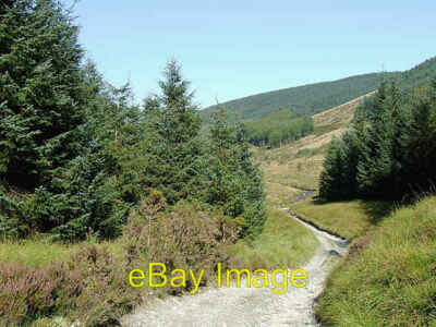 Photo 6x4 Byway descending to the Afon Tywi, Powys Moel Prysgau This ...