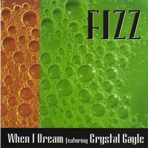 FIZZ - When I Dream - CD - Single - **Mint Condition** 651035500227 | eBay