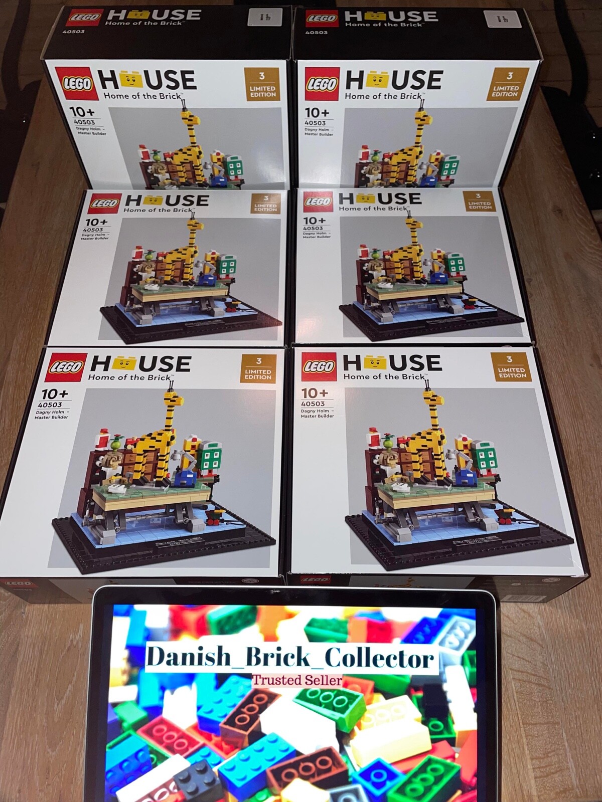 LEGO Promotional: Dagny Holm - Master Builder (40503) for sale online ...