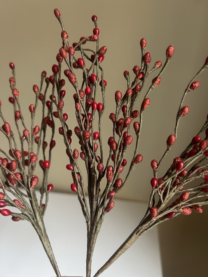 3Pc Red Pip Berries Pip Berry Picks Spray Stems Primitive 10" Valentine ...