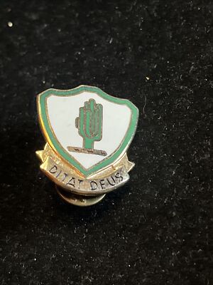 Ditat Deus ~ US Military Arizona National Guard Insignia Lapel Pin 24 ...