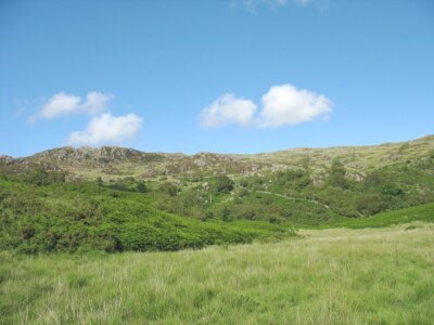 Photo 6x4 Boggy hollow covered by tussocky grass Llanfachreth This area ...