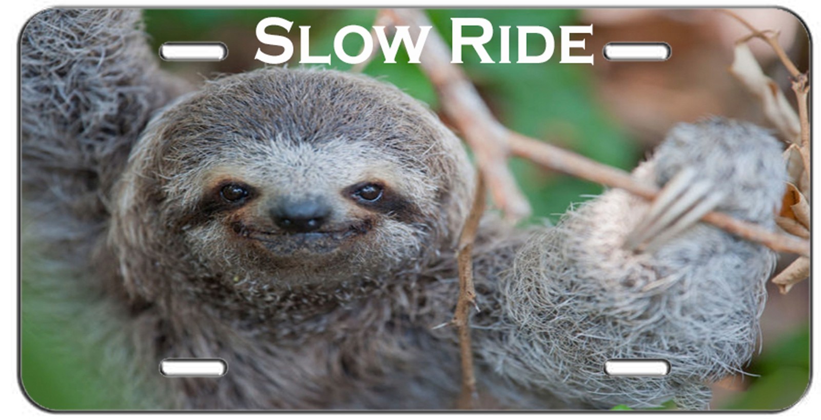 LICENSE PLATE SLOW RIDE SLOTH AUTO TAG | eBay