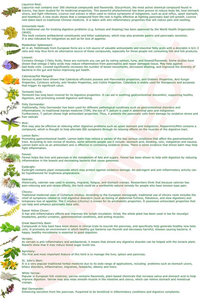 PANCREAS TEA Natural 20 Herbs Organic Herbal Pancreatic Support Care ...