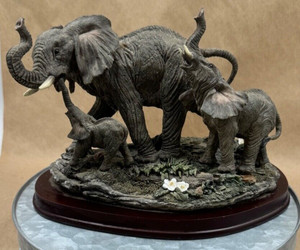 Comato Jo's | eBay Stores