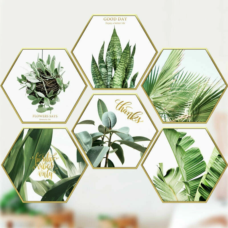 Tropical Plants List